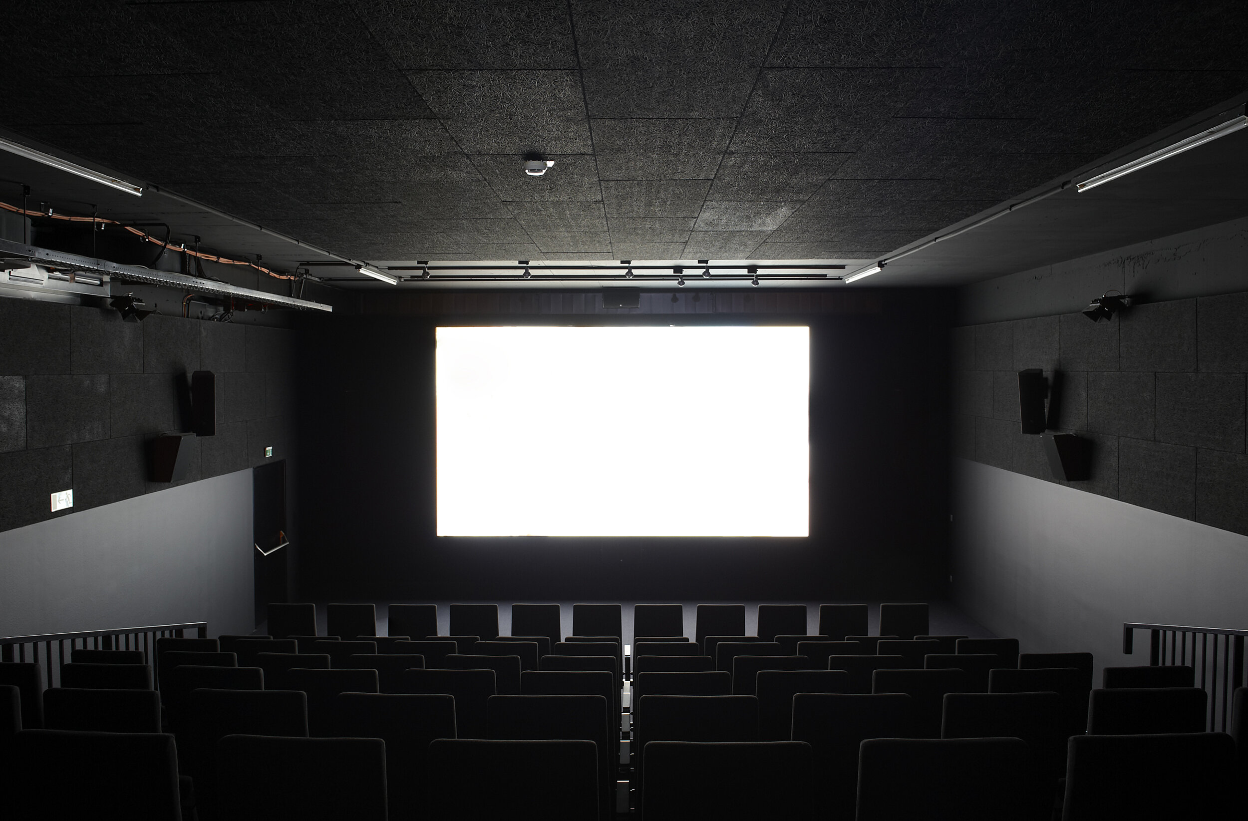 mumok kino | I as many others | mumok